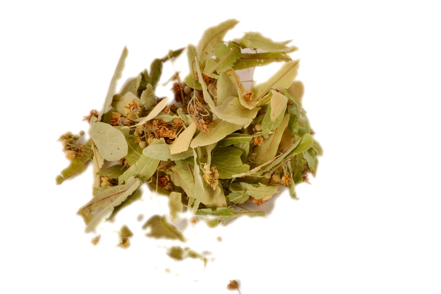 Linden Flower Tea Organic Tree Leaves, Linden Tea Dried Leaves Loose ...