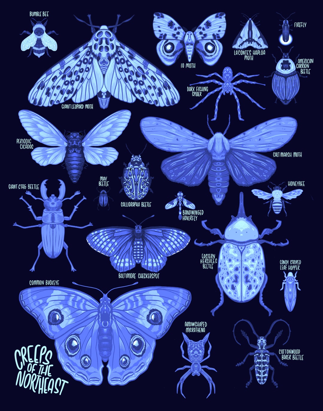 Creeps of the Northeast Print (blue) - Etsy