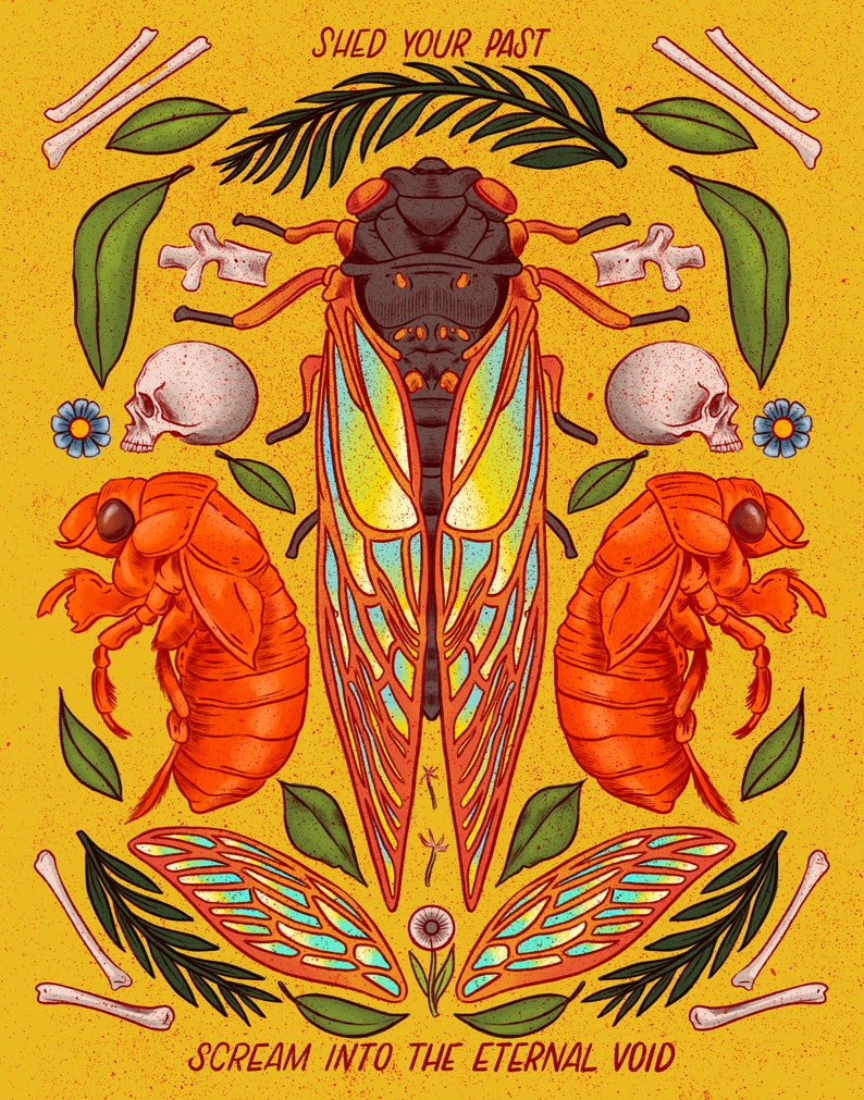 Cicada Print (2023 Edition) - Etsy