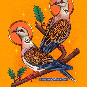 12 Days of Birdmas Holiday Card Set - Etsy