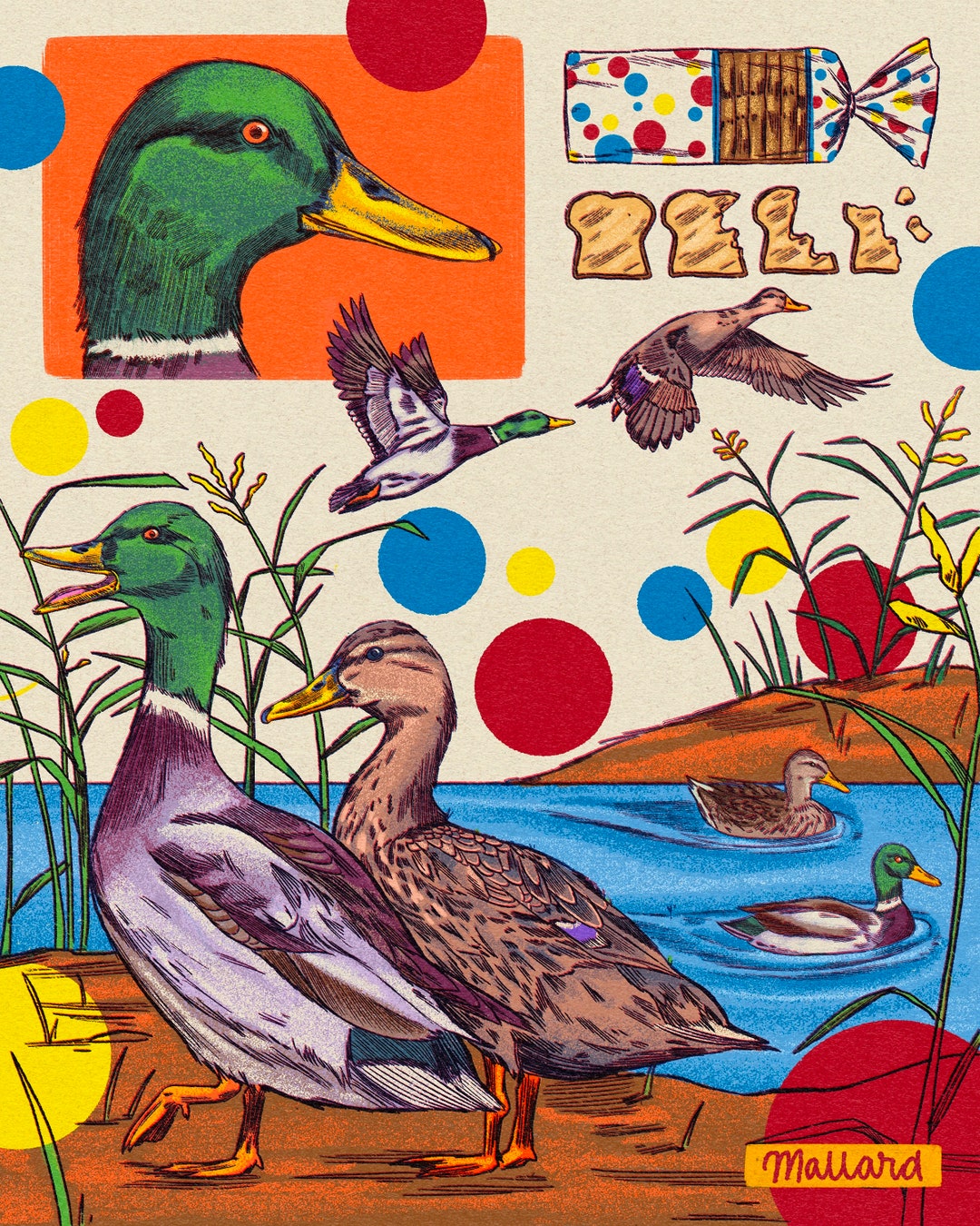 Mallard Print - Etsy