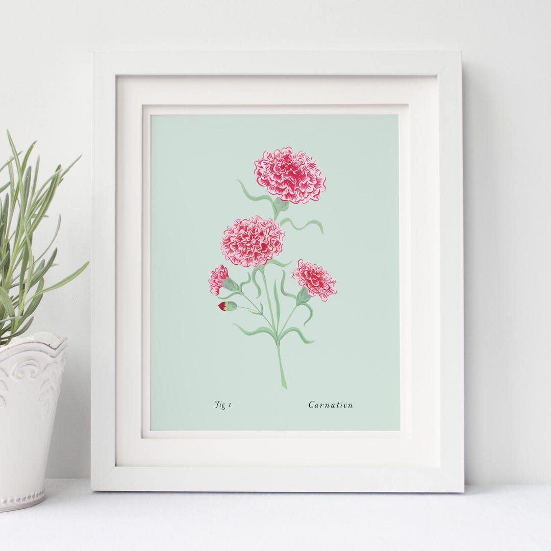 Carnation Illustration Floral Art Print | Mother's Day Gift | 8 X 10 ...