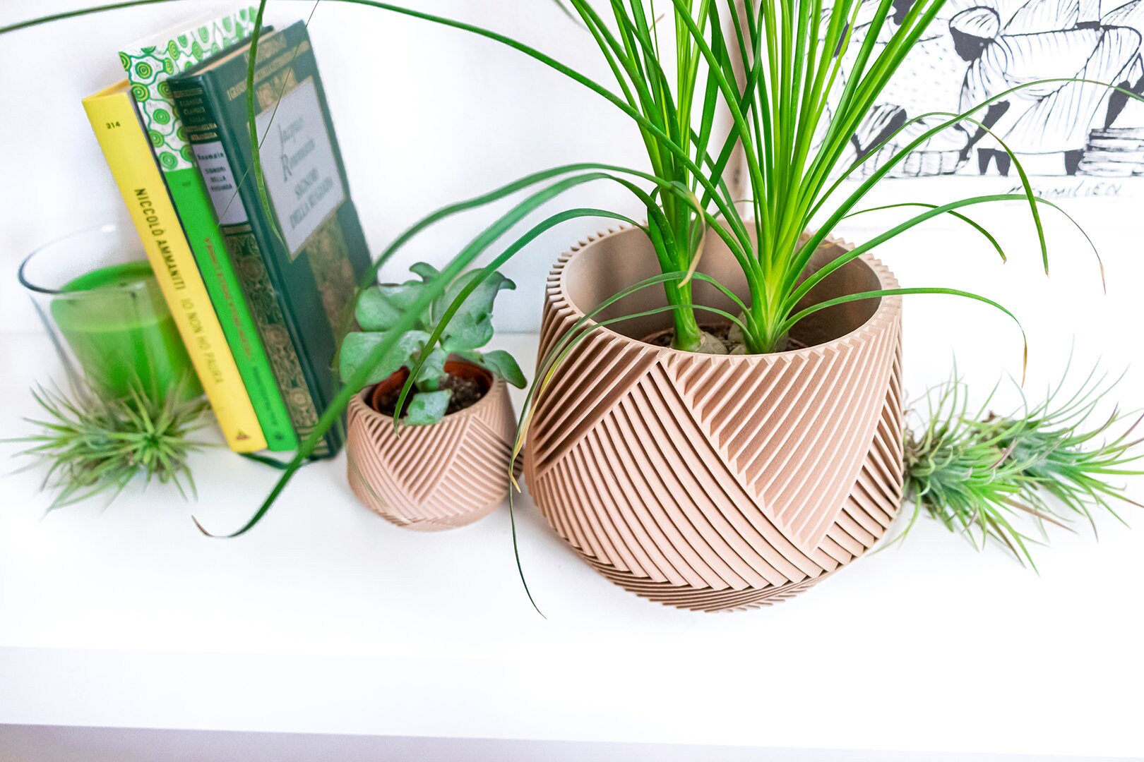 Awesome Plant Pot | Indoor Planter | Original Cache Pot | Plant Lover ...