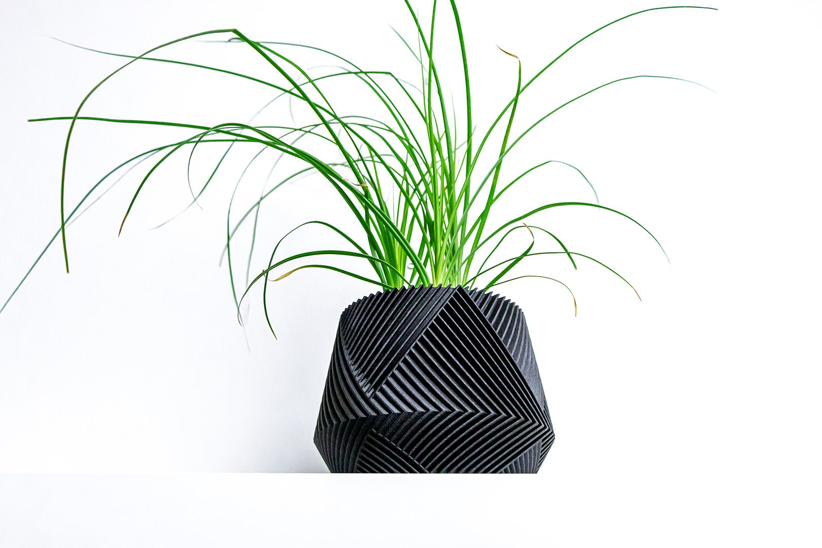 Black Plant Pot Indoor Planter Original Cache Pot Plant | Etsy