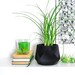 Black Plant Pot Indoor Planter Original Cache Pot Plant Lover Gift Wood ...