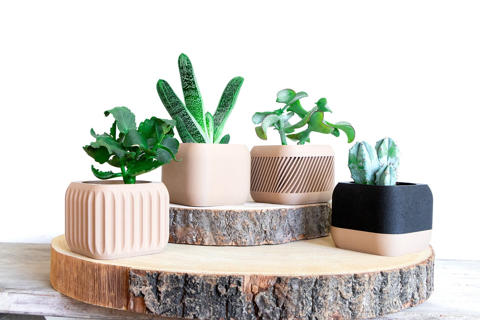 Beautiful Set of 4 Plant Pot | Succulent Planter Set | Wood Plant Pot ...