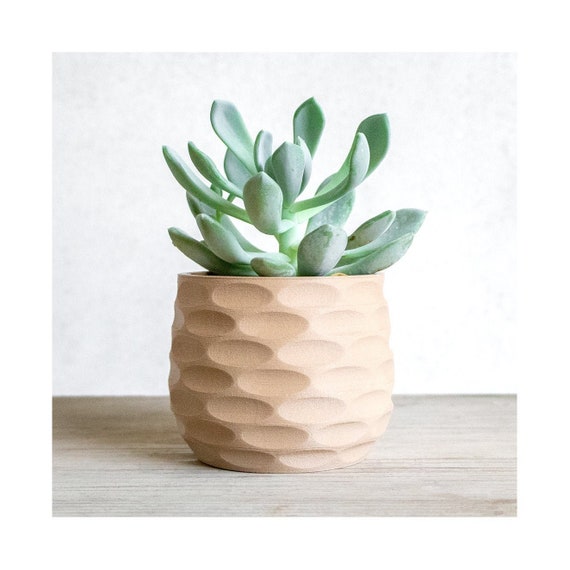 Wood Cache Pot Succulent Plant Stand Bonsai Pot Wood | Etsy