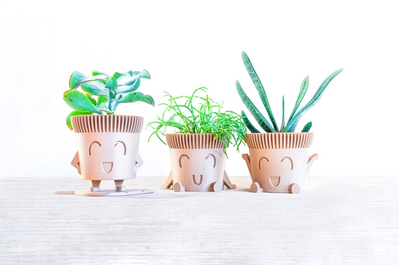 Cute Plant Pot Set of 3 Cute Planter Original Cache Pot | Etsy