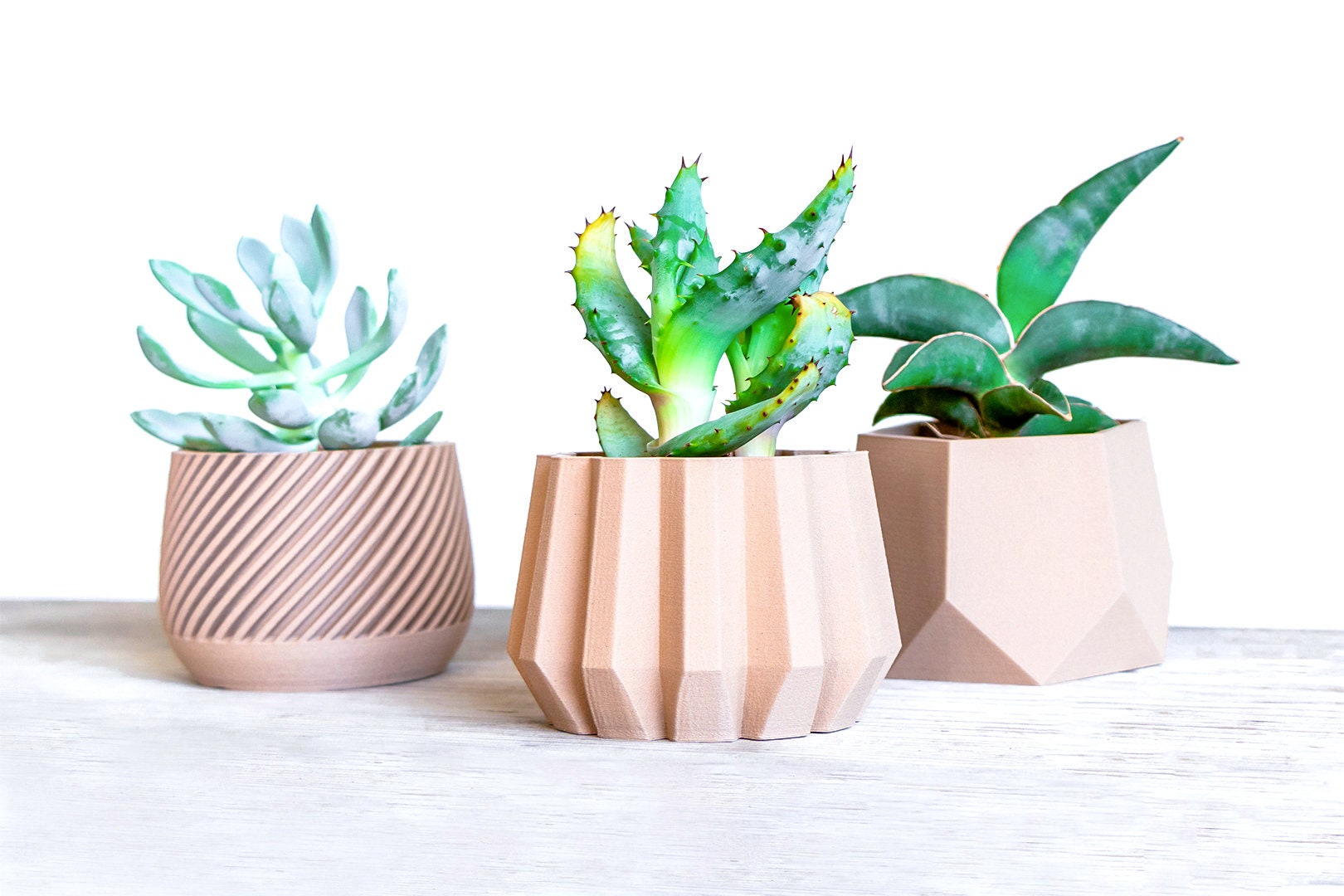 Wood Cache Pot Wood Plant Pot Succulent Plant Stand | Etsy