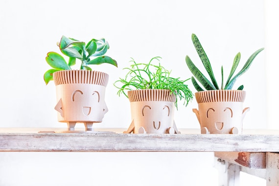Cute Plant Pot Set of 3 Cute Planter Original Cache Pot | Etsy