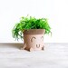 Cute Plant Pot Set of 3 Cute Planter Original Cache Pot - Etsy