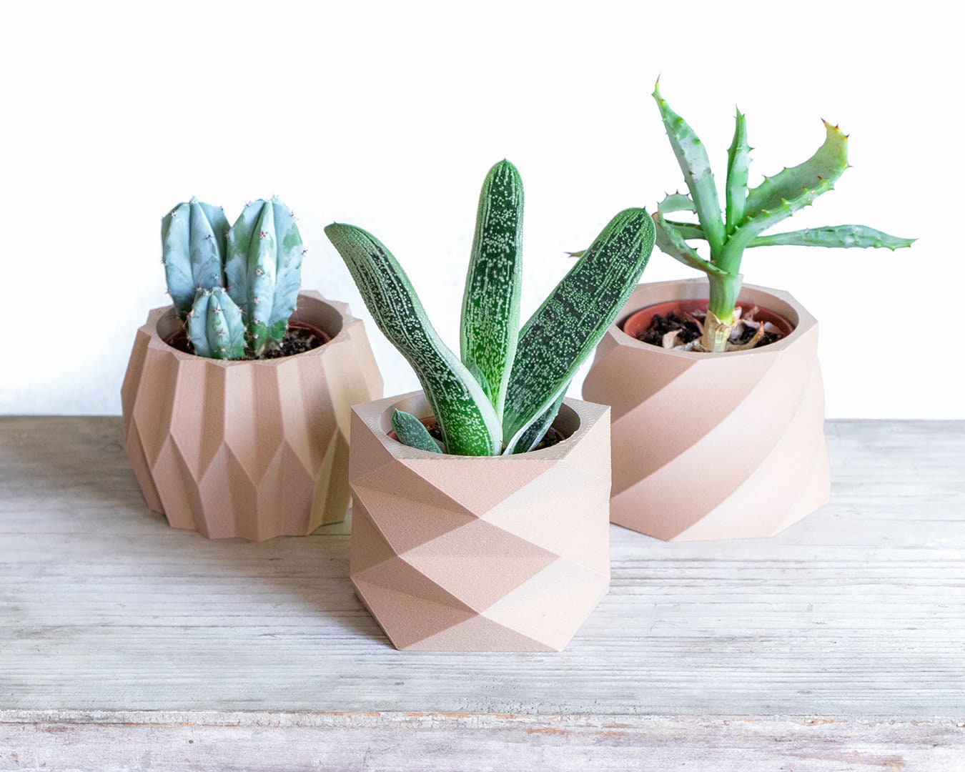 Origami Wood Plant Pot Succulent Cache Pot Wood Succulent | Etsy