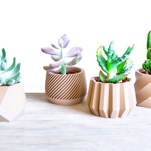 Wood Cache Pot | Wood Plant Pot | Succulent Plant Stand | Succulent ...