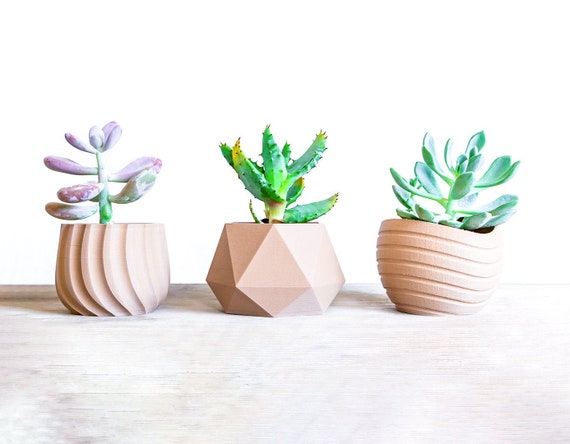 Home Décor Home & Living Indoor Planters set of 3 pots ceramic cactus ...