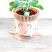 Cute Plant Pot Set of 3 Cute Planter Original Cache Pot - Etsy