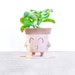 Cute Plant Pot Set of 3 Cute Planter Original Cache Pot - Etsy