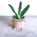 Cute Plant Pot Set of 3 Cute Planter Original Cache Pot - Etsy
