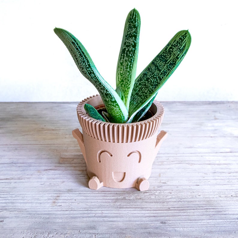 Cute Plant Pot Set of 3 Cute Planter Original Cache Pot | Etsy