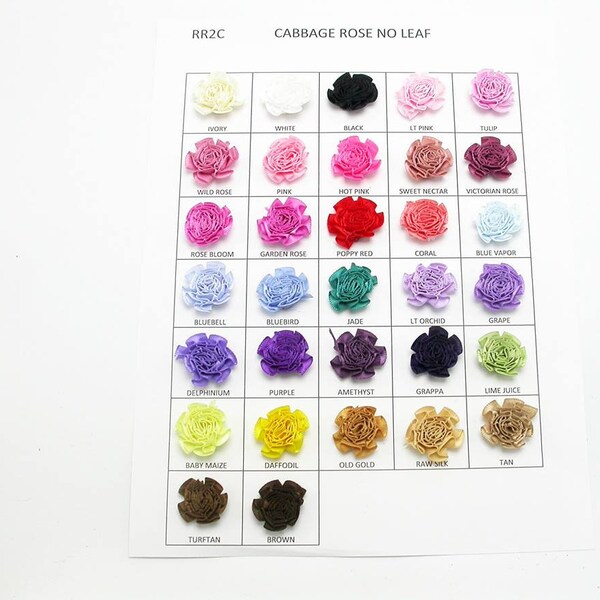 Cabbage Patch Roses - Etsy