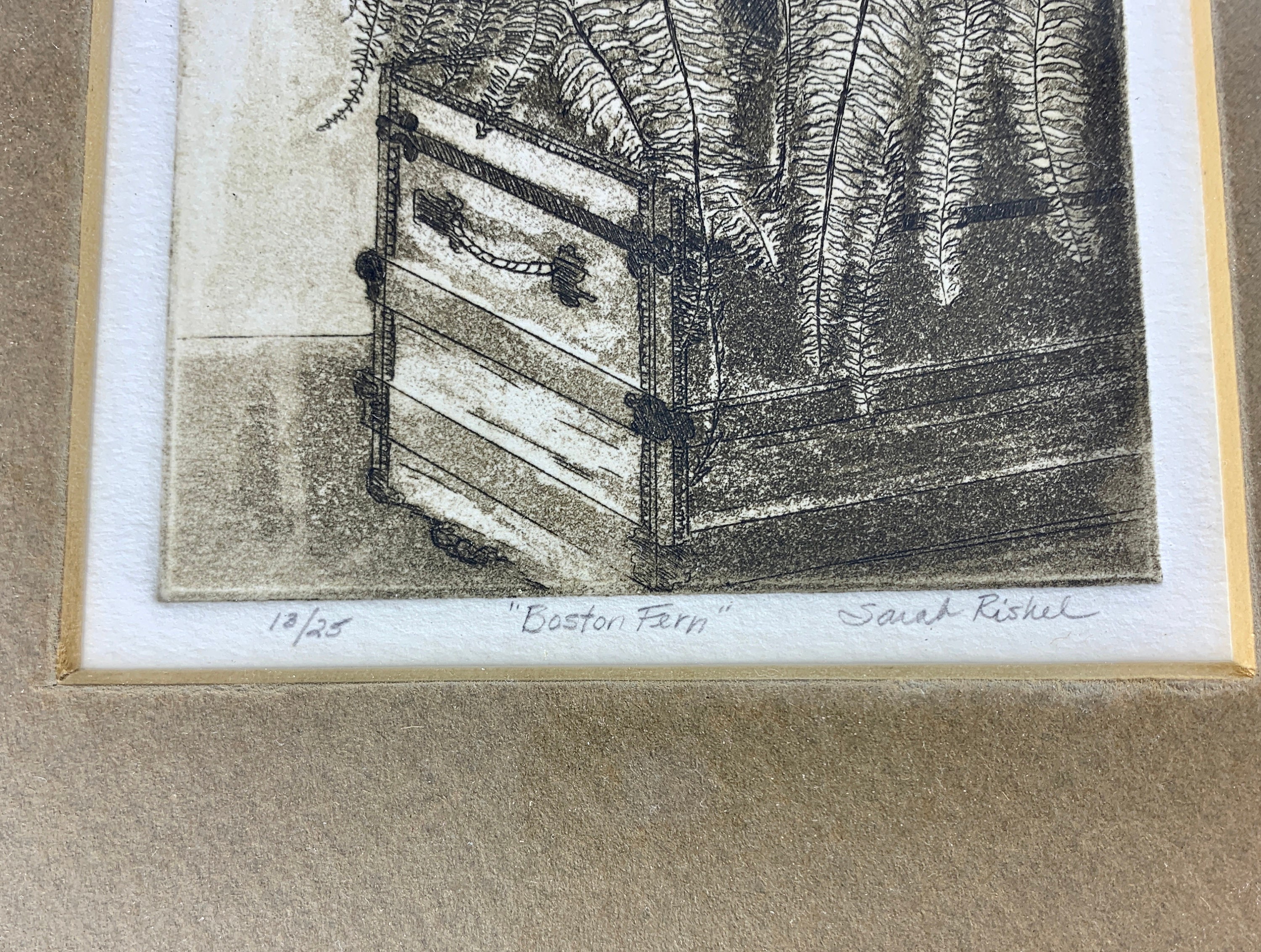 Sarah Rishel Etching Print 'boston Fern' 10/25 - Etsy