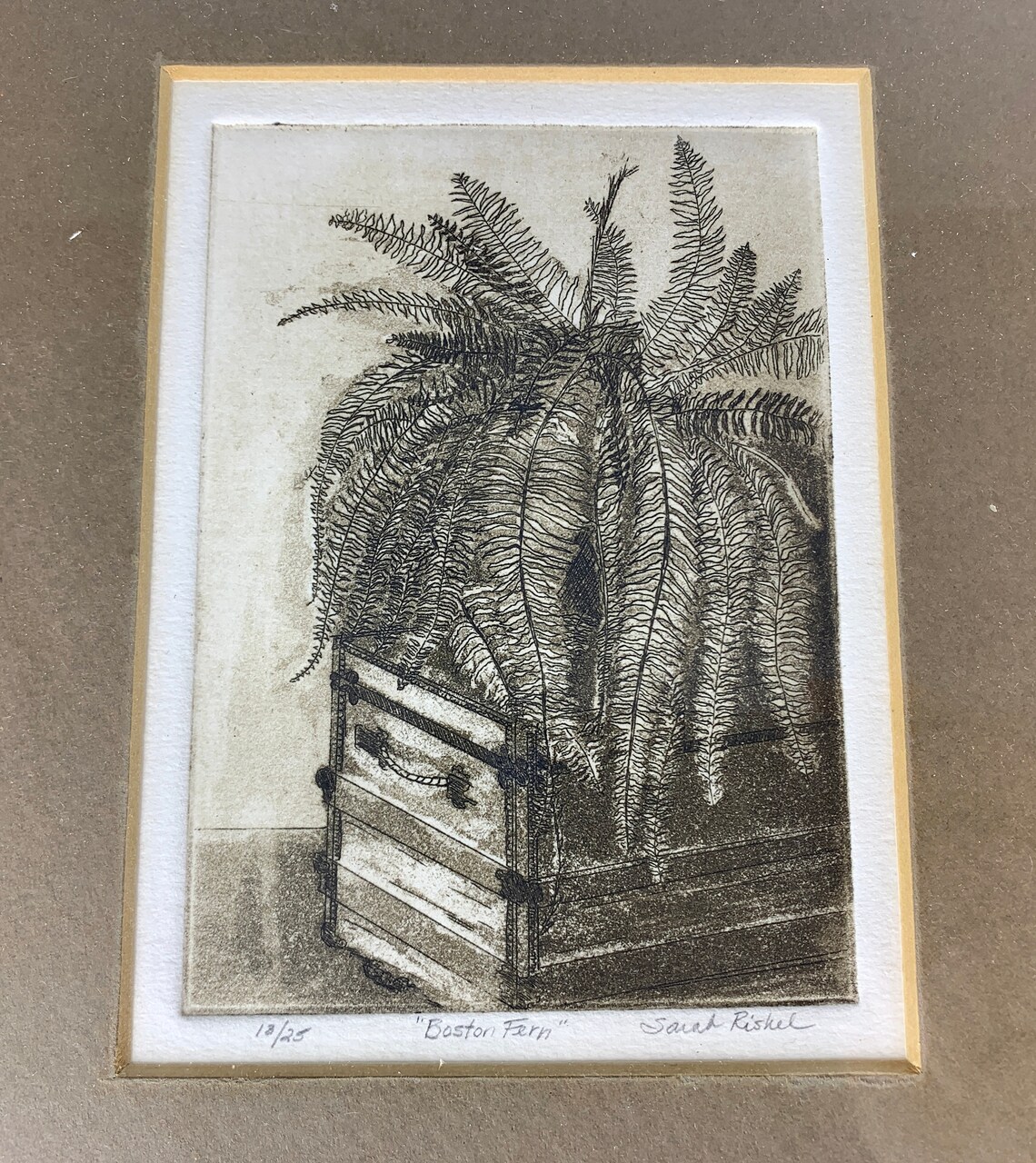 Sarah Rishel Etching Print 'boston Fern' 10/25 - Etsy