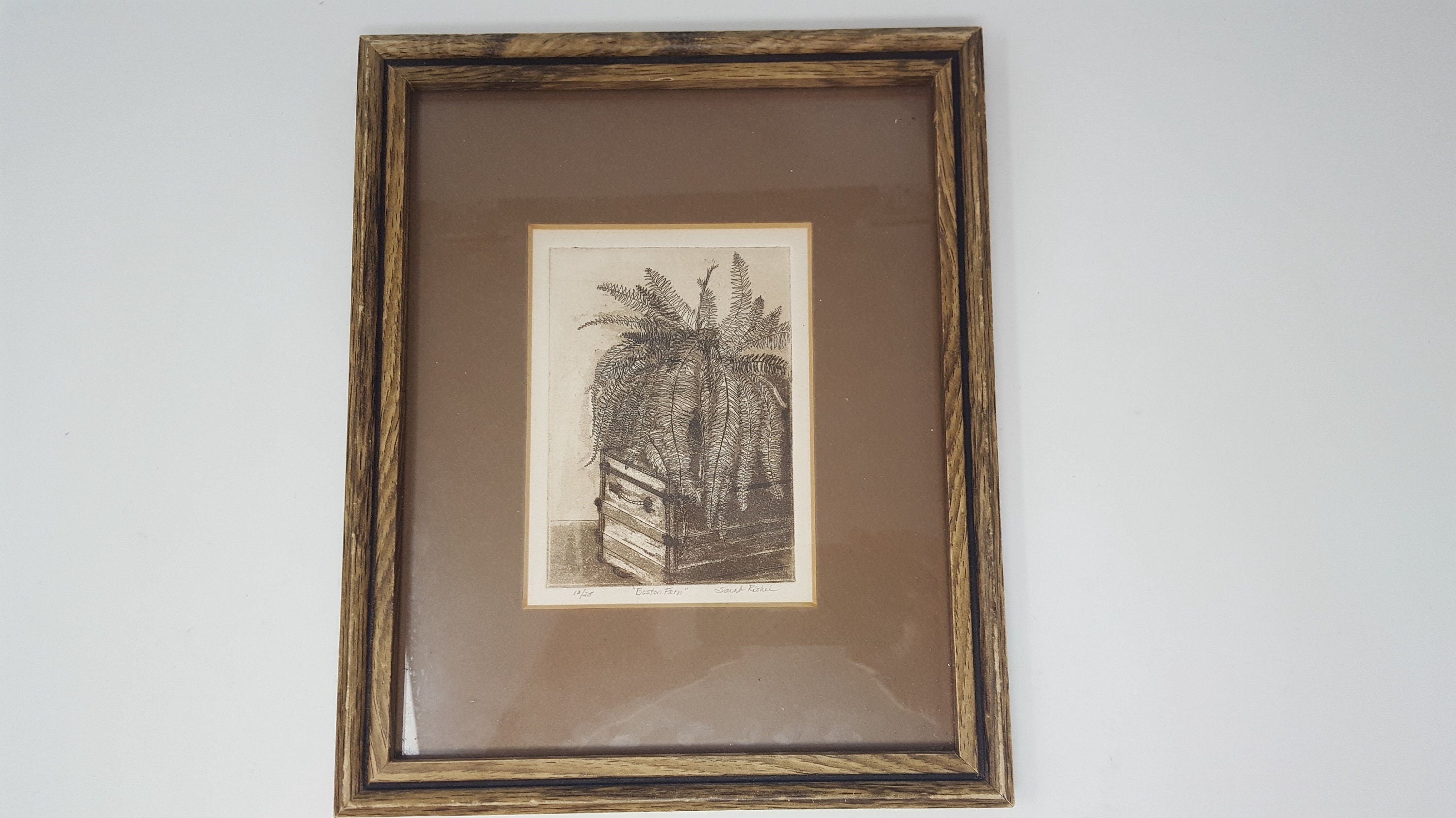 Sarah Rishel Etching Print 'boston Fern' 10/25 - Etsy