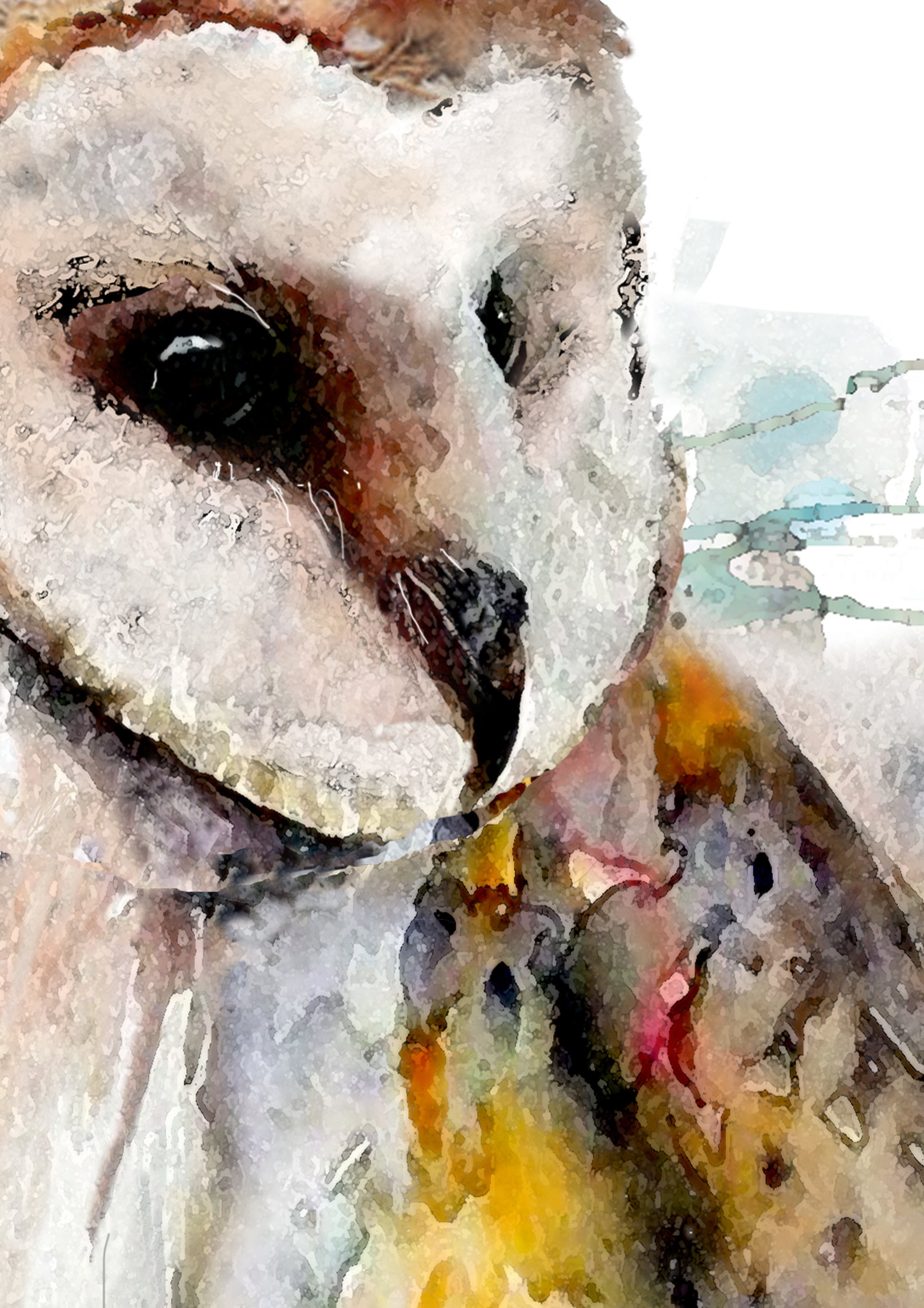 STRIGI-FORMES (Owl), Framed Limited Edition Fine Art Giclée Print, from ...