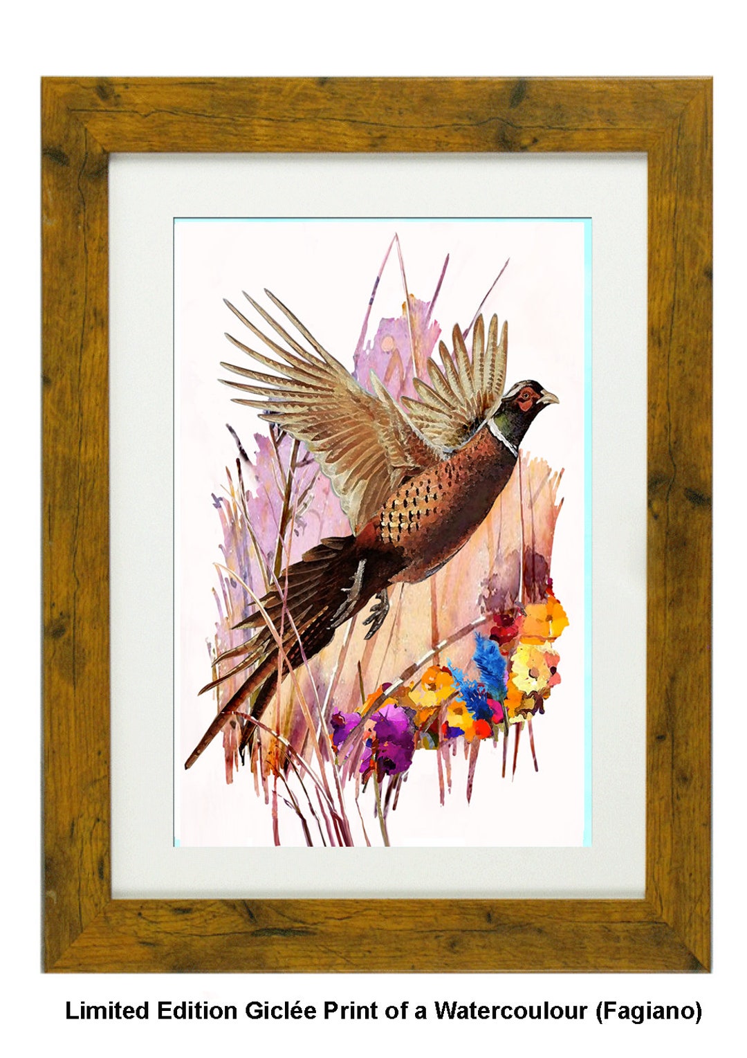 FAGIANO (pheasant), Framed Limited Edition Fine Art Giclée Print, From ...