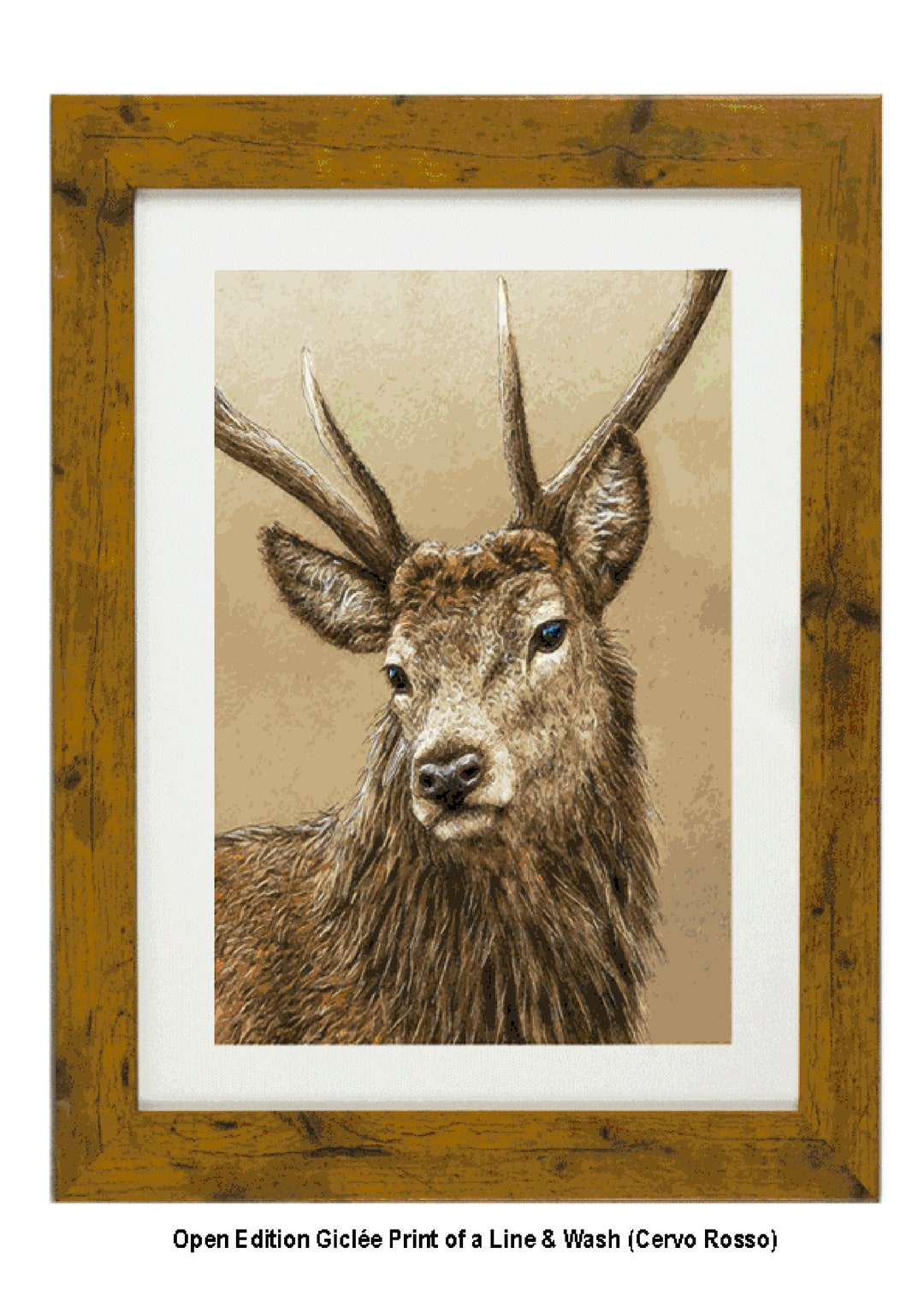 CERVO ROSSO, Framed Open Edition Fine Art Giclée Print, is From an ...
