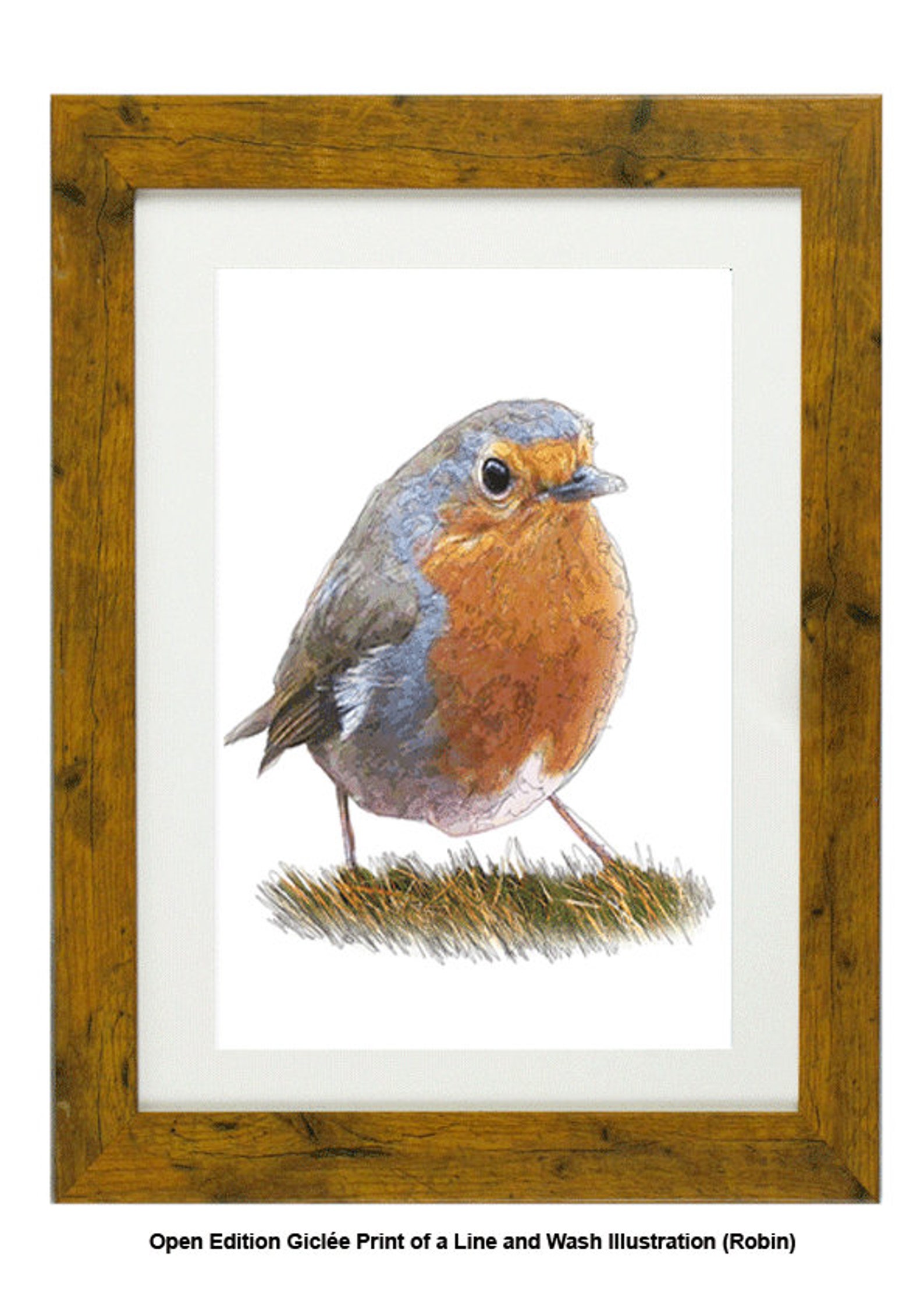 ROBIN Framed Open Edition Fine Art Giclée Print da - Etsy Italia