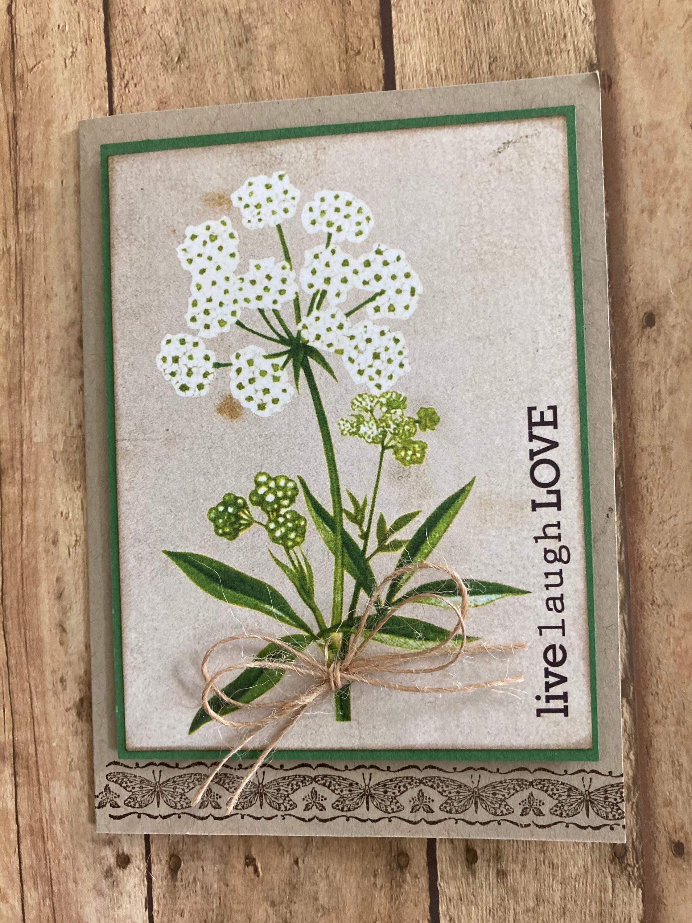 Botanical Notes Set of 5 3.5x5 inch | Etsy