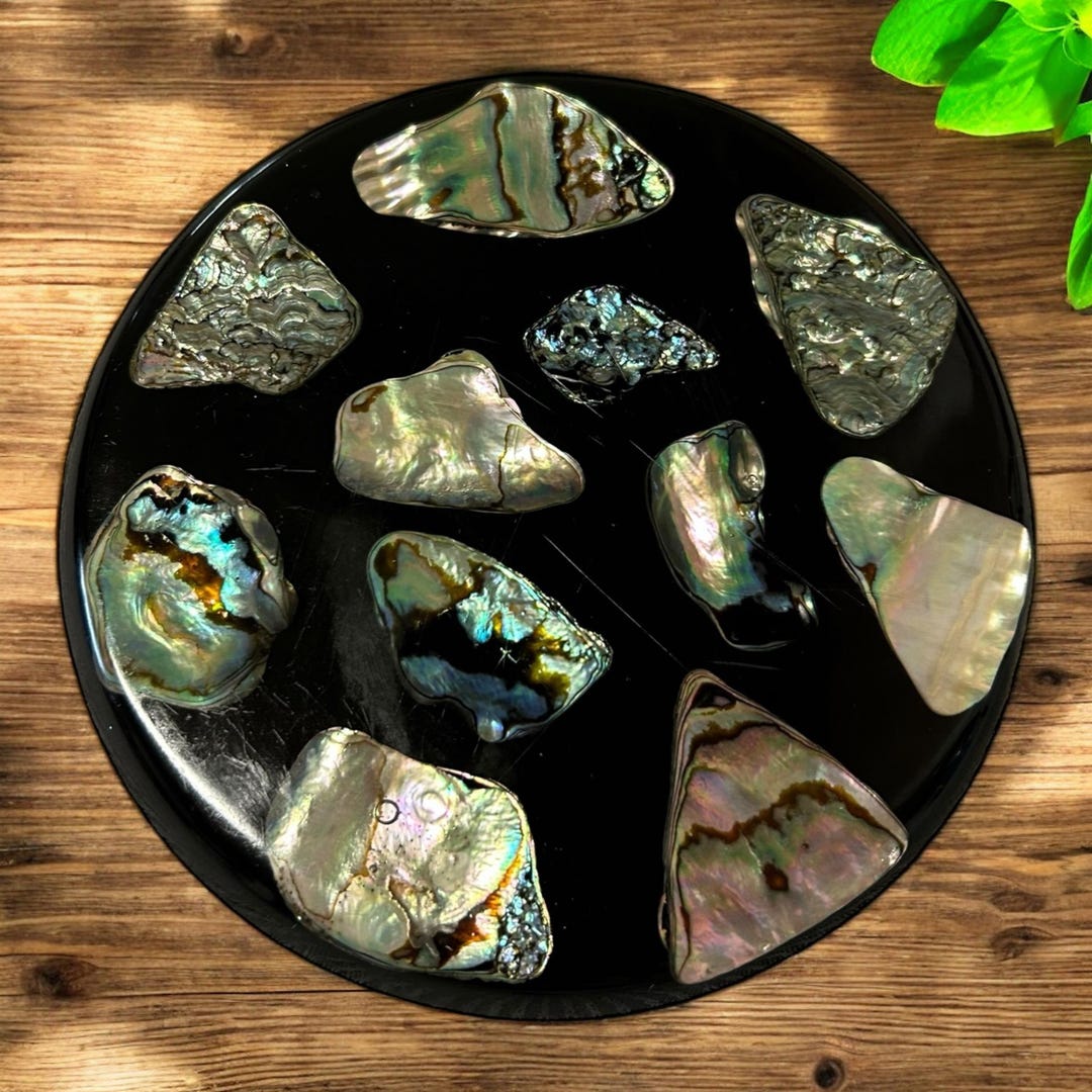 Vintage 1960s Abalone Acrylic Hot Plate Trivet - Etsy