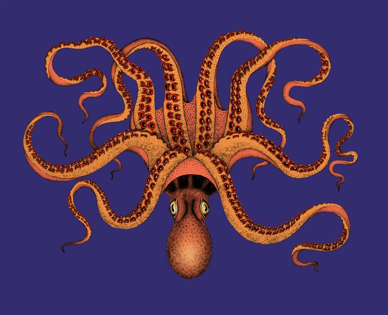 Octopus Under the Sea Nautical Sea Life Print Nursery - Etsy