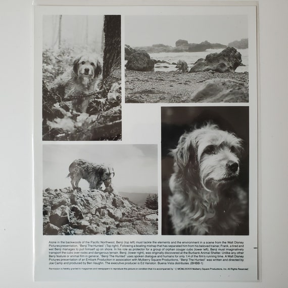 Benji The Hunted 1987