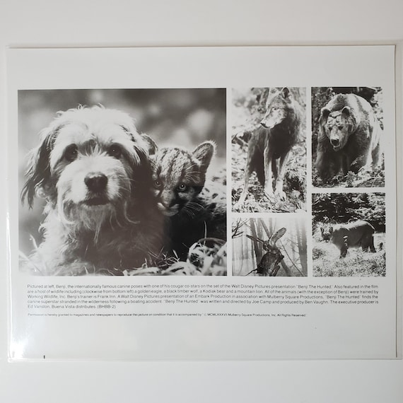 Benji The Hunted 1987