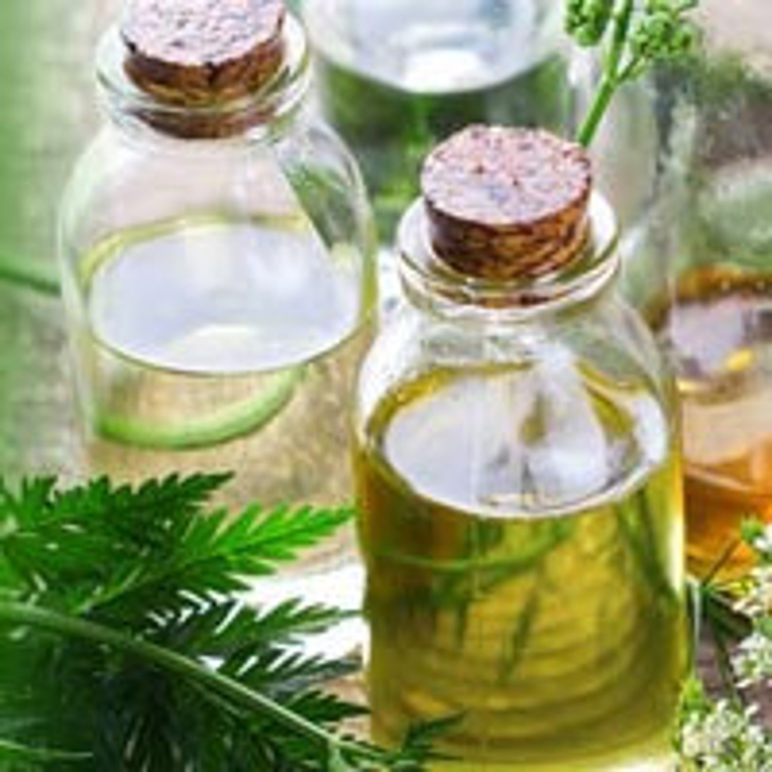 Water Soluble Herbal Extracts, Chamomile, Arnica, Calendula, Bee Pollen ...