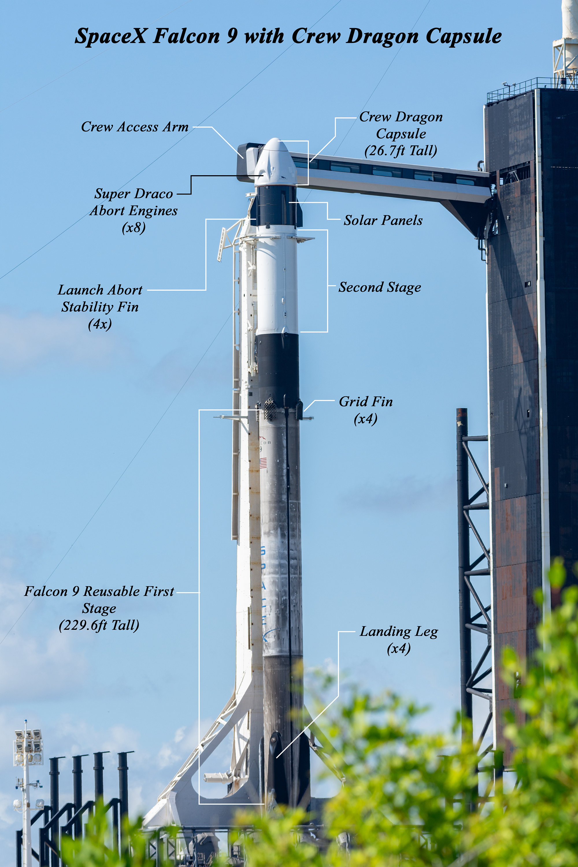 Spacex Infographic Landing