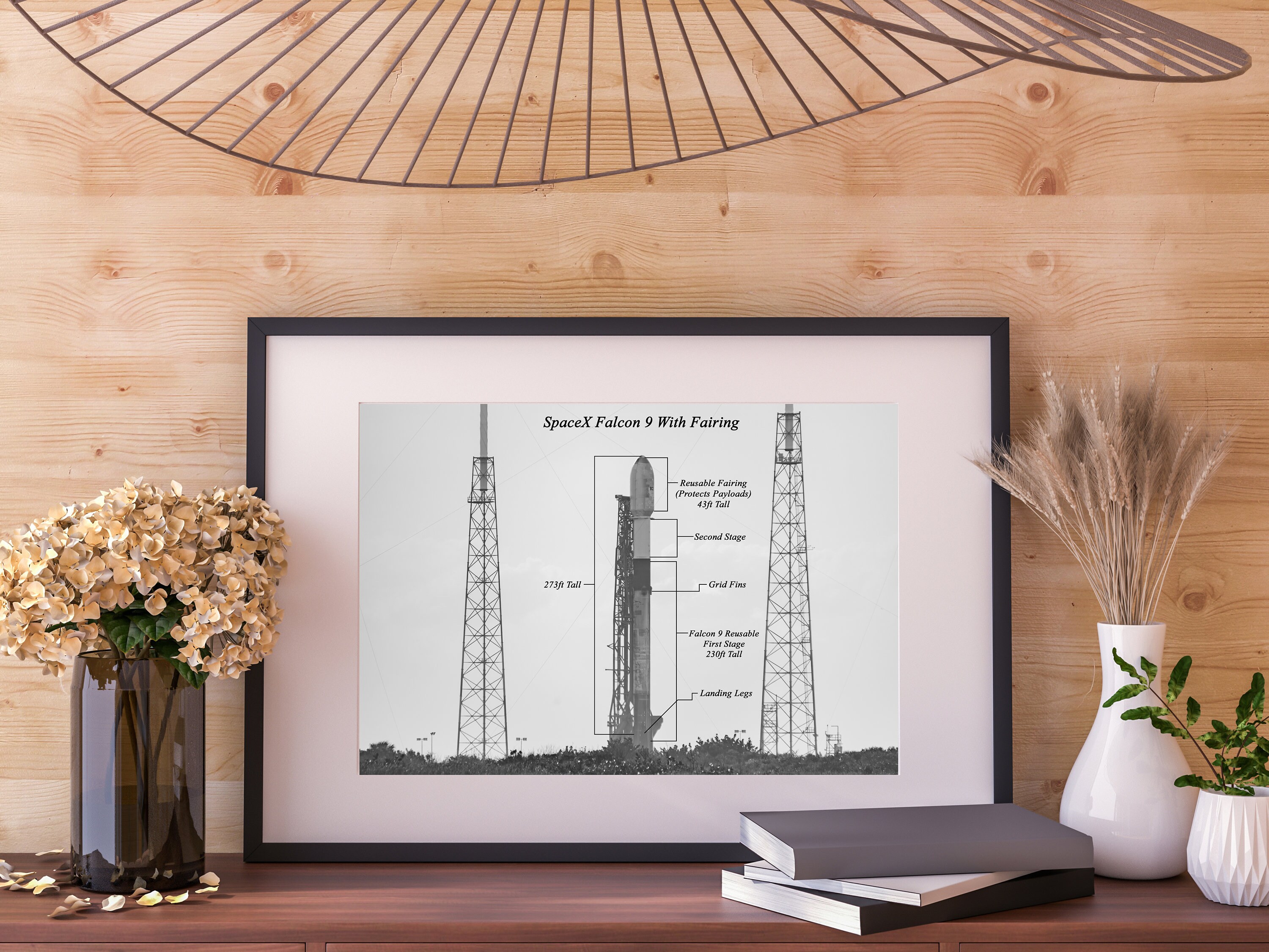 Spacex Landing Infographic