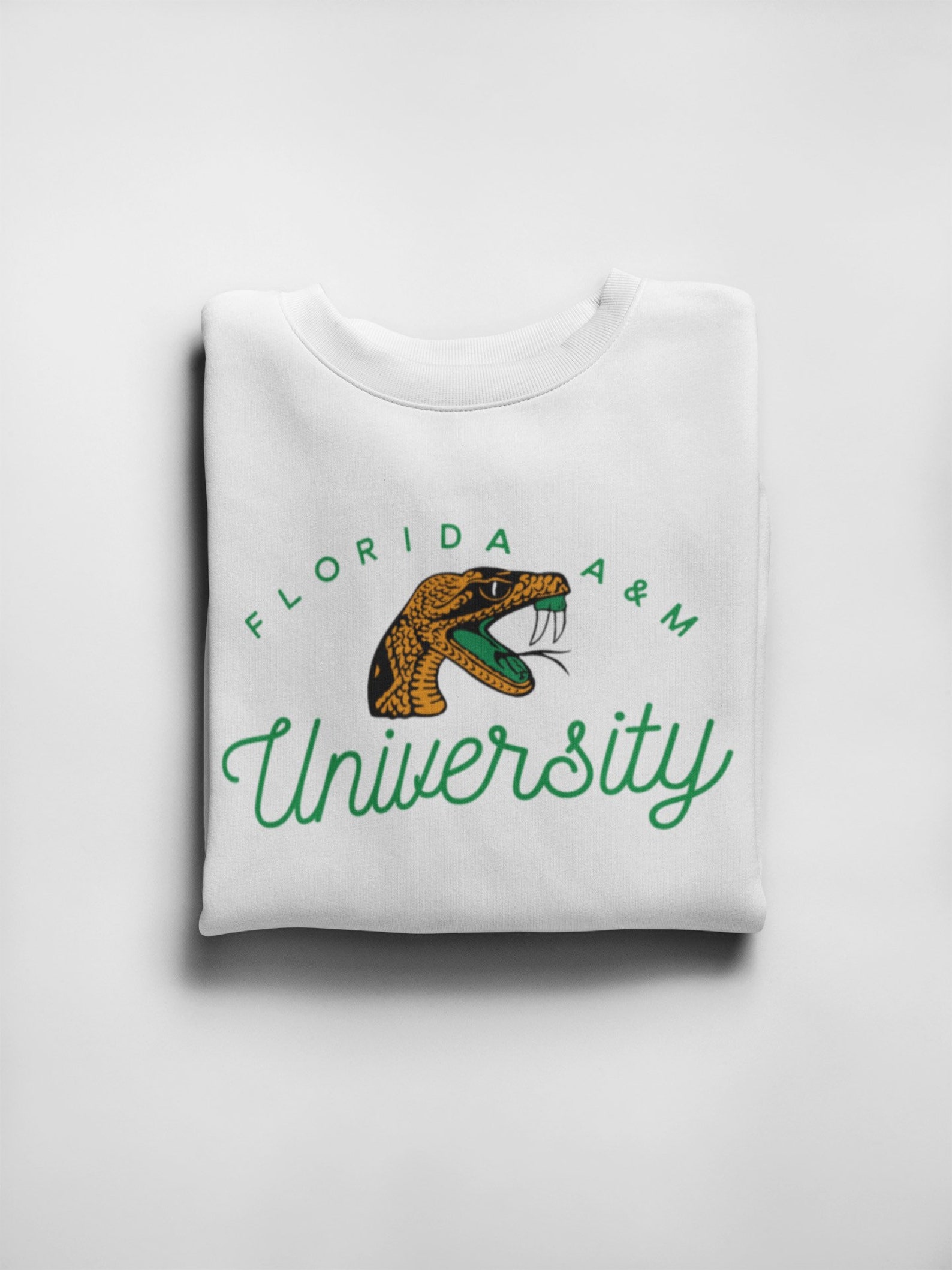 Florida A&M University Swag T-shirts/sweatshirts - Etsy UK