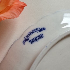 Victorian F Winkle Colonial Pottery Bone Matlock Blue Oval Plate ...