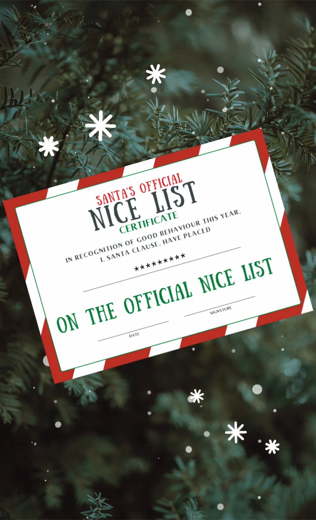 Santas Nice List, Digital, Printable, Nice List Certificate - Etsy