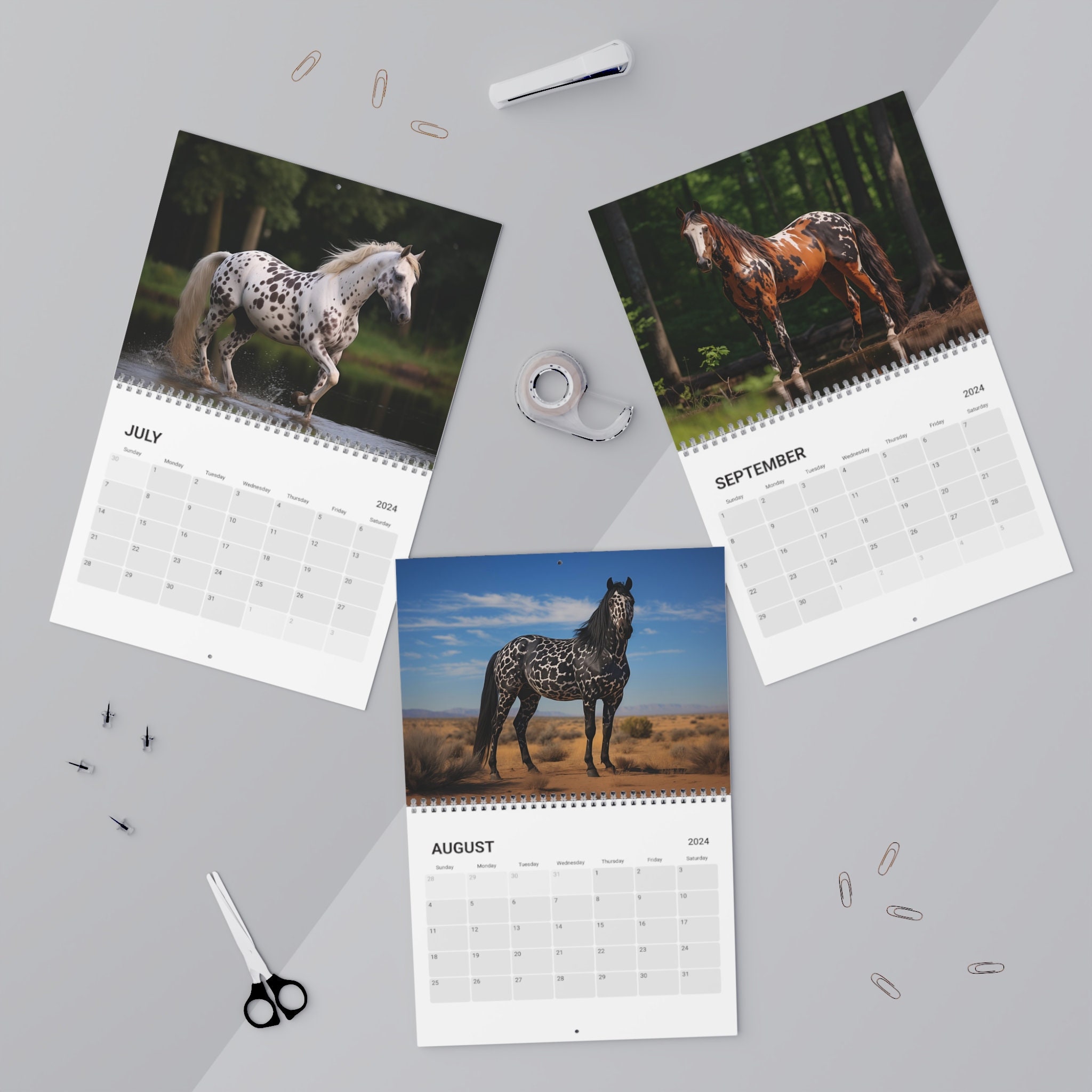 Equine Elegance 2024: Spotted Blanket Appaloosa Horses Calendar - Etsy