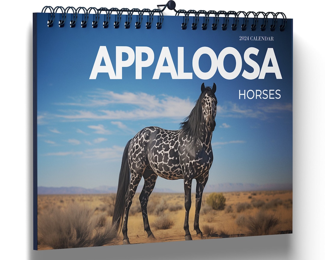 Equine Elegance 2024: Spotted Blanket Appaloosa Horses Calendar - Etsy