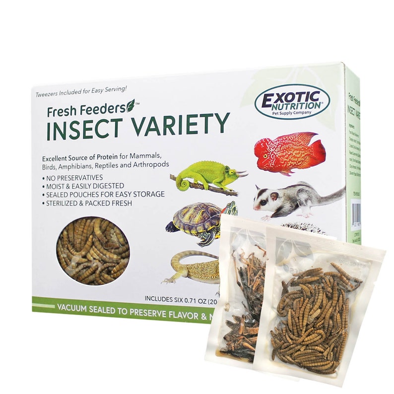 Fresh Feeders Moist Insects Easy to Feed Mess-free - Etsy