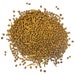 Hedgehog Essential Healthy and Natural Kibble Food Balanced Nutritious ...