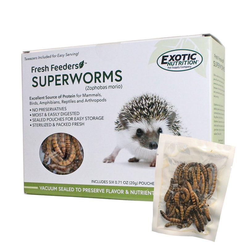 Fresh Feeders Moist Insects Easy to Feed Mess-free - Etsy