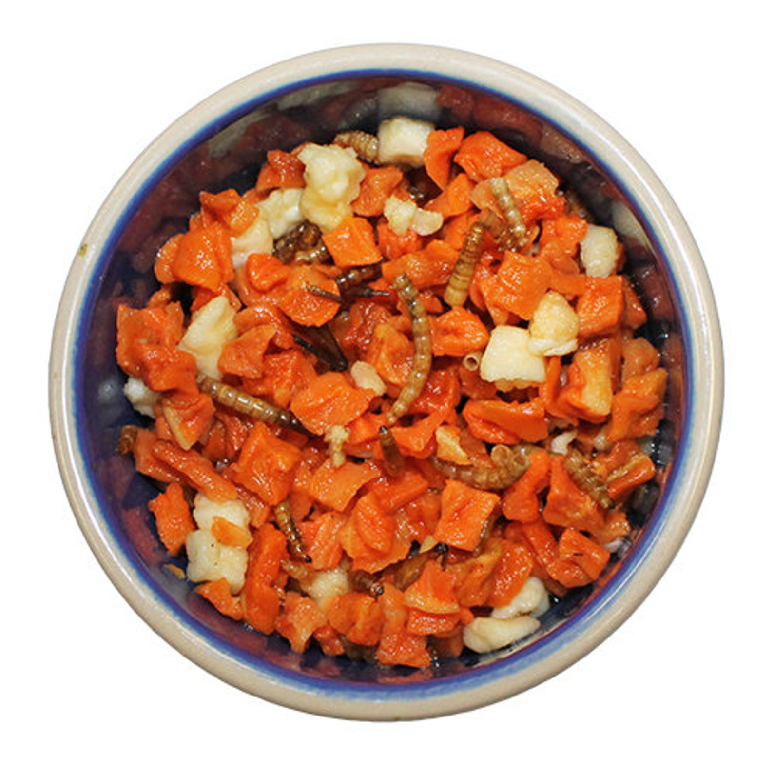 Hedgie Bugs & Veggies Healthy and Unique Hedgehog Treat | Etsy