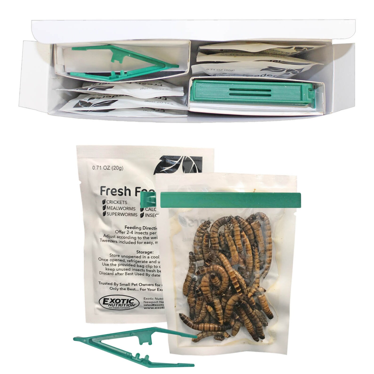 Fresh Feeders Moist Insects Easy to Feed Mess-free - Etsy