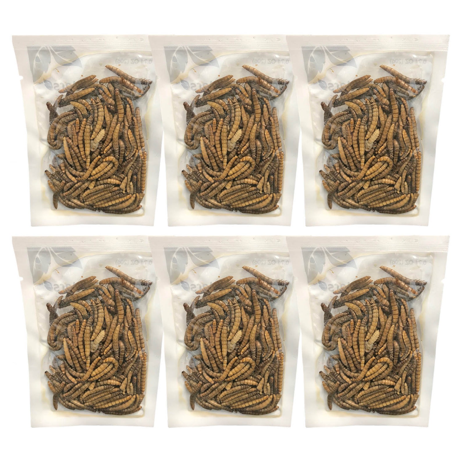 Fresh Feeders Moist Insects Easy to Feed Mess-free - Etsy