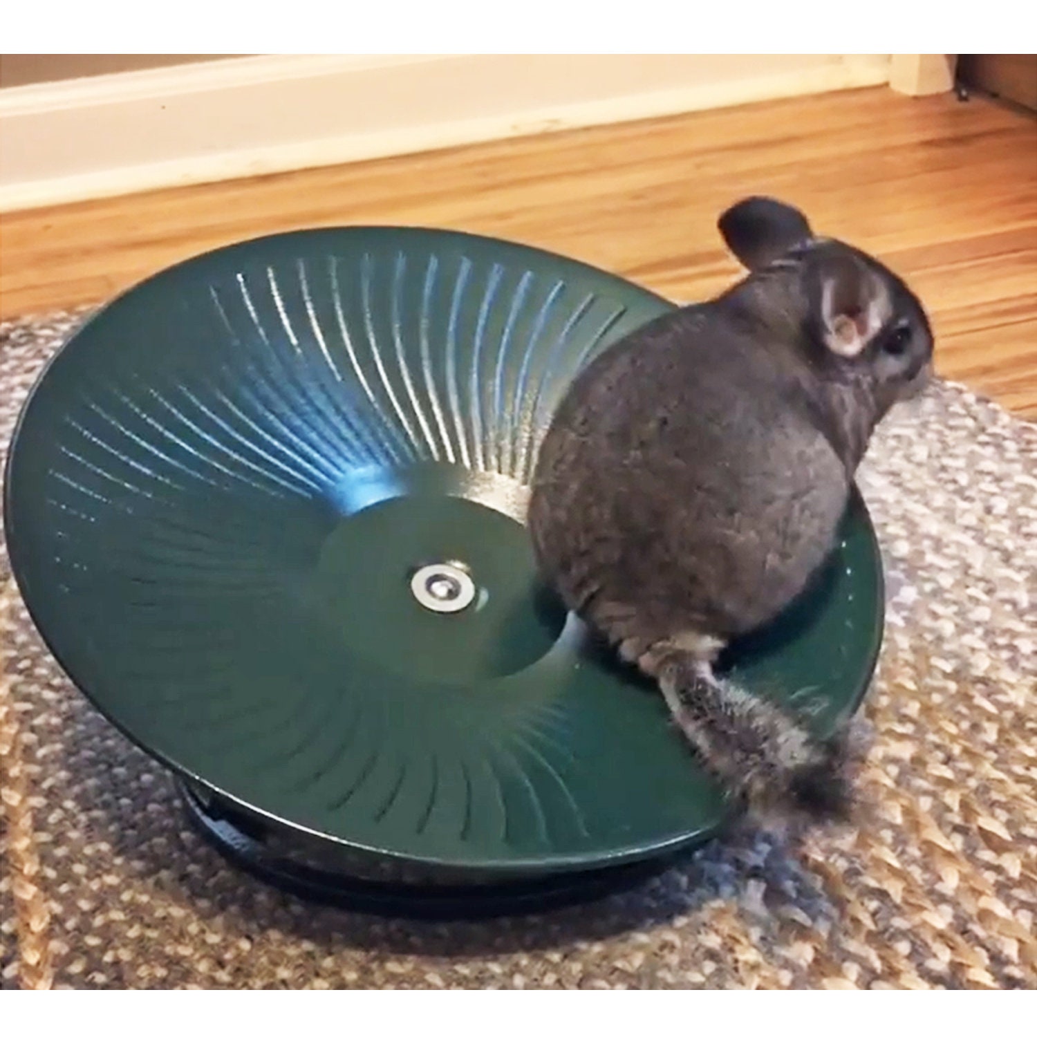 Metal Chinchilla Wheel